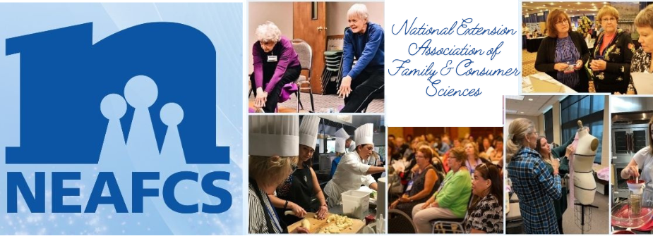 Professional Development | Texas Extension Association of Family ...